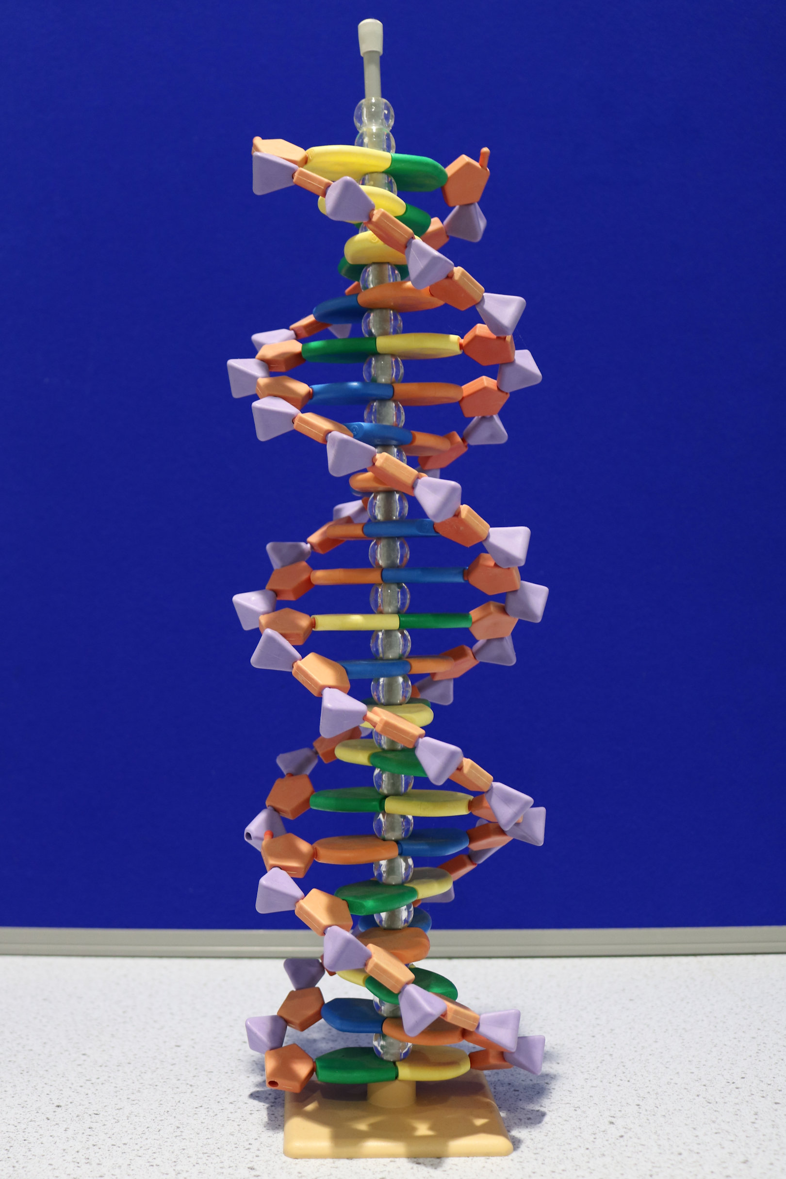 Structure Of Dna By Michael1989 Teaching Resources