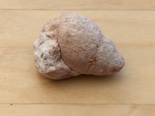 Teaching Fossils Ks2 Lesson: More About Fossil Formation | KS2 Science