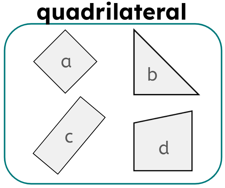 What Is Quadrilateral Shape