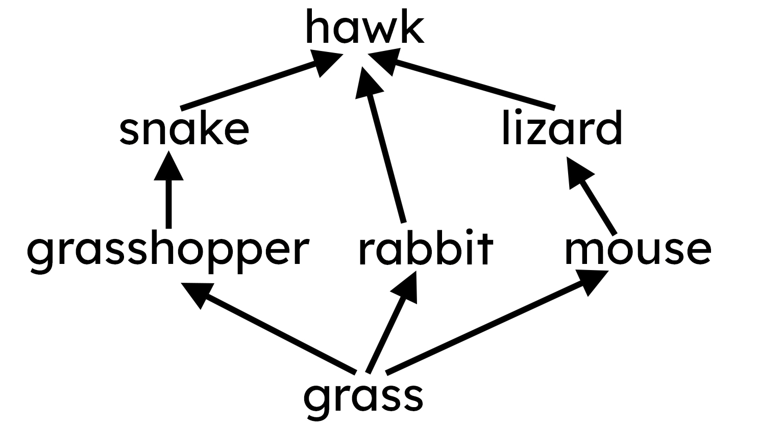 Food Webs With Organisms Labeled