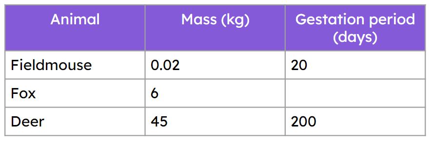 Normal Gestation Period Fetal Development Information | Mount Sinai