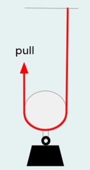 Examples Of Pulleys Ks2