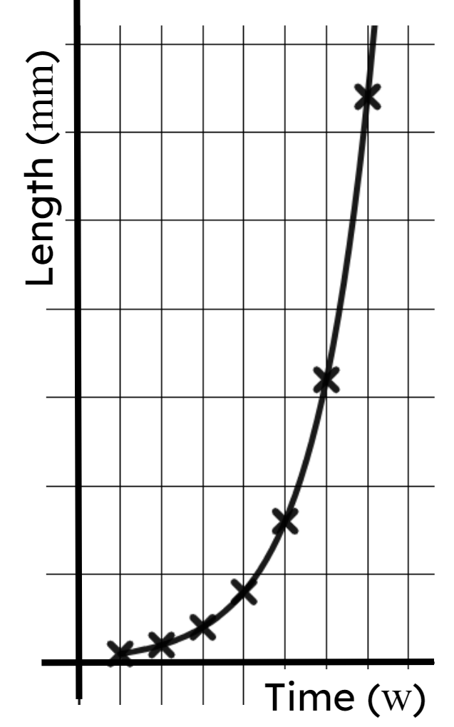 Geometric Sequence Graph Geometric Sequence – GeoGebra