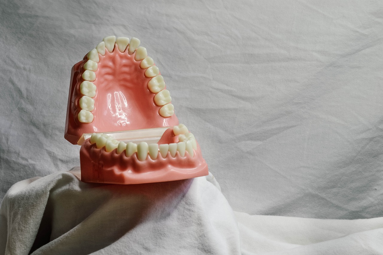 Omnivore Teeth Omnivore Teeth Black And White Stock Photos & Images