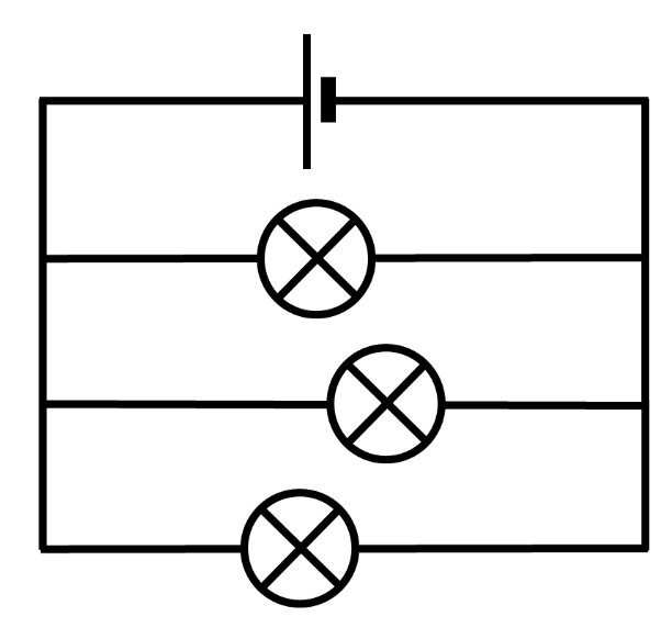 Parallel Circuit With Switch 3 Bulbs
