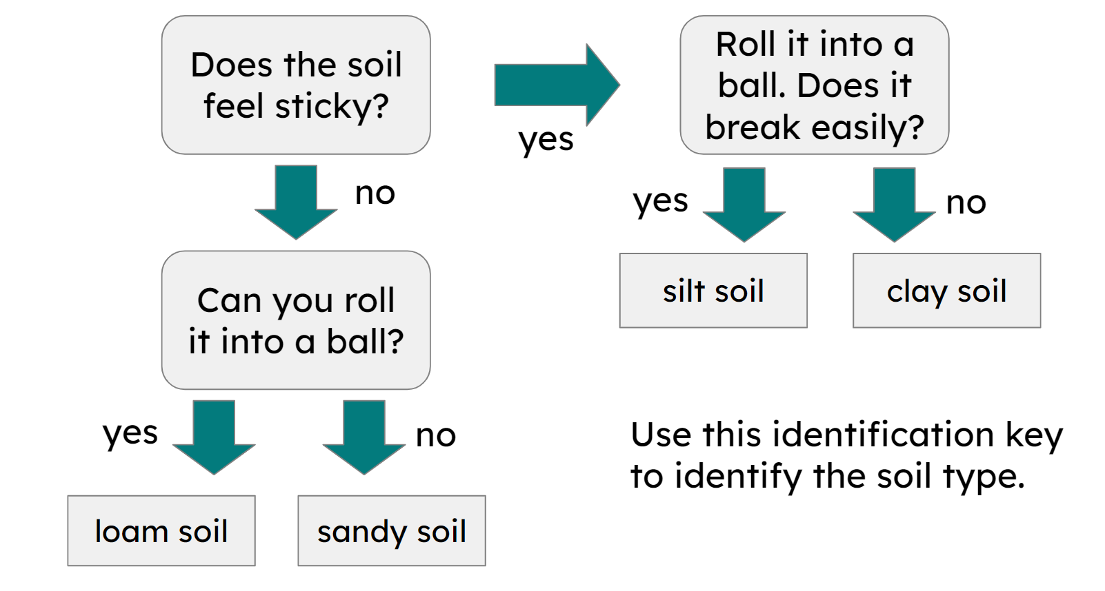 Classification Key Worksheet